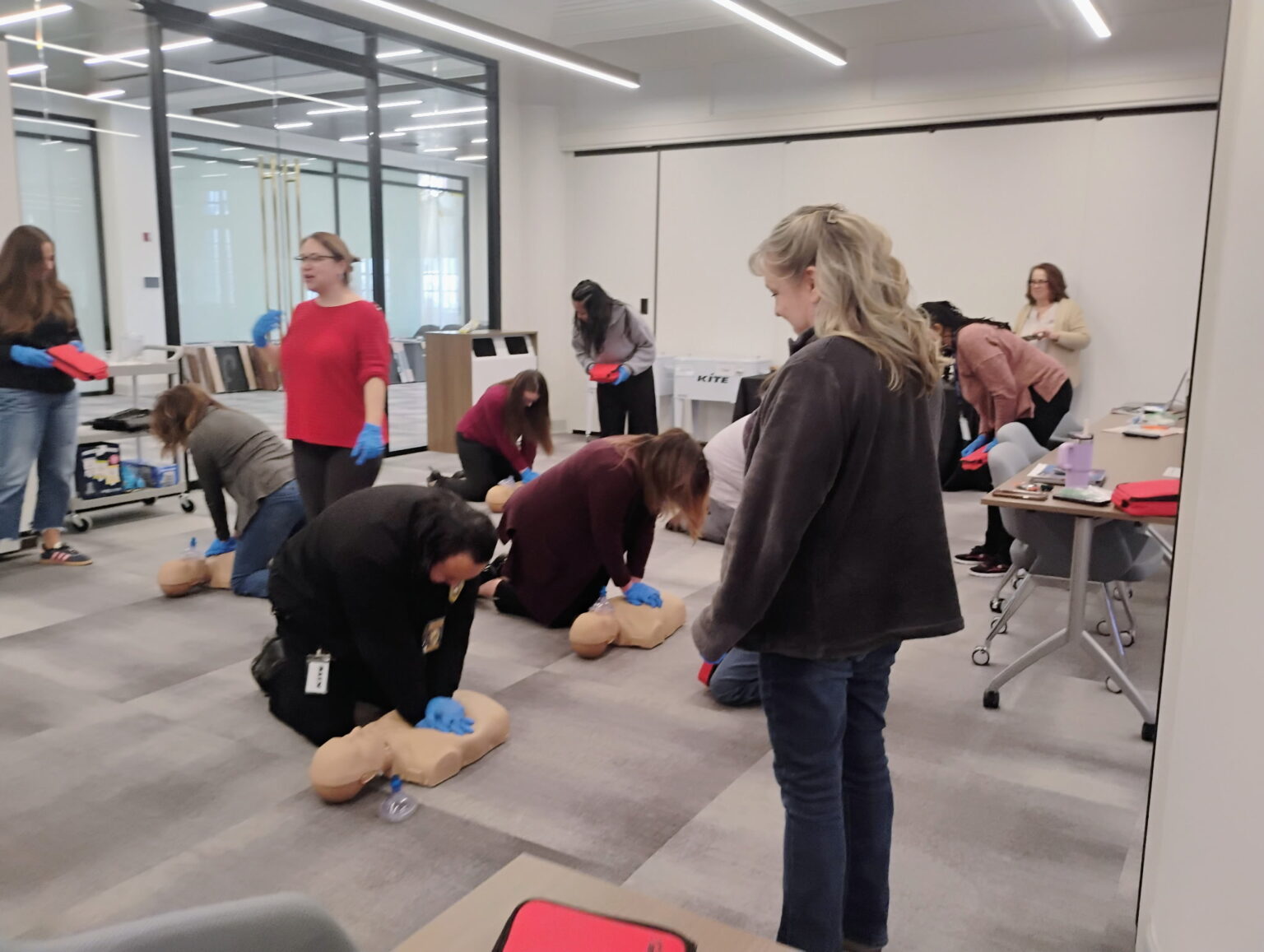 BLS/CPR Instructor Course | RESQ & Arise | CPR, Safety & Instructor ...